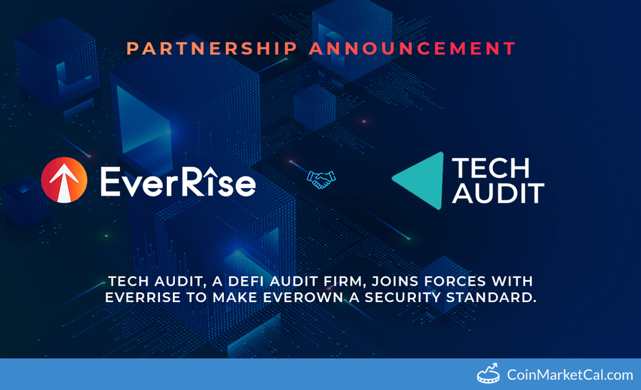 EverRise (RISE) - EverRise & Tech Audit